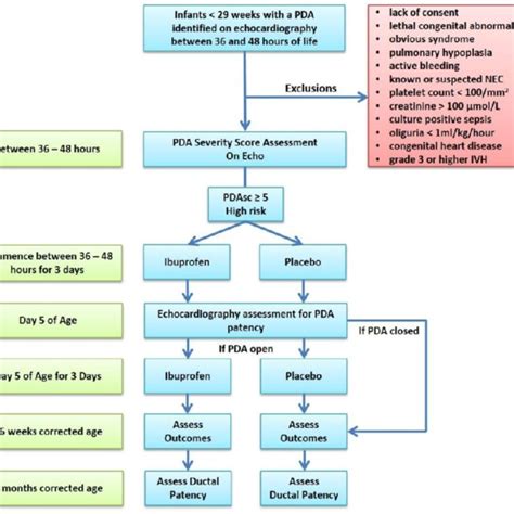Study Schematic PDA Patent Ductus Arteriosus ECHO Echocardiogram Download Scientific
