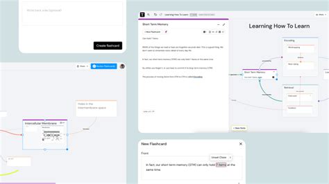 think and learn visually with dom zijlstra founder of traverse ness labs