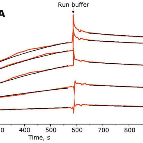 A Typical Surface Plasmon Resonance Spr Binding Between Immobilized