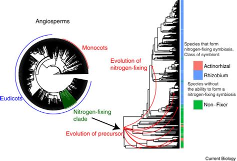 Phylogenetic Comparative Methods Current Biology
