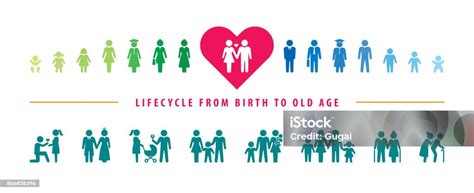 라이프 사이클 및 노화 과정 벡터 아이콘 설정 나가에 아기에서 성장 하는 사람 생애주기에 대한 스톡 벡터 아트 및 기타 이미지