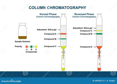 Normal Phase And Reversed Phase Column Chromatography Royalty Free