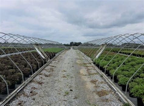 Landscape IPM Scouting Techniques Basic Overview Plant Pest Advisory