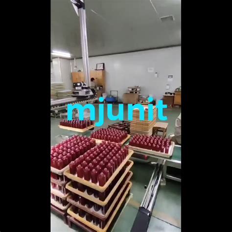 Mjunit Gantry Mjunit Gantry Truss Manipulator With Synchronous Belt Heavy Duty Xyz Axis