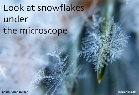 Blog Posts List Rs Science Blog Posts List Rs Science