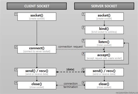 Socket Socket Programming