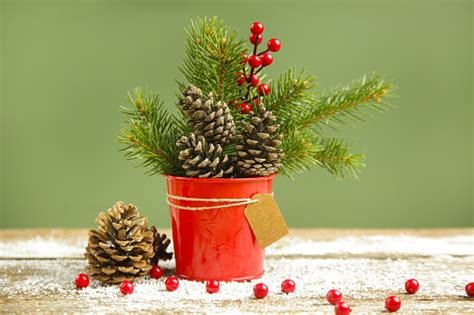 축제 자연 제로 폐기물 플라스틱무료 크리스마스 장식 전나무 가지 소나무 콘 붉은 열매로 만든 Diy 겨울 휴일 홈 장식 재활용에