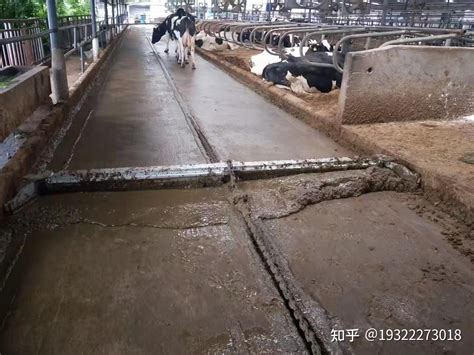 刮粪机的详细使用讲解和工作原理 知乎