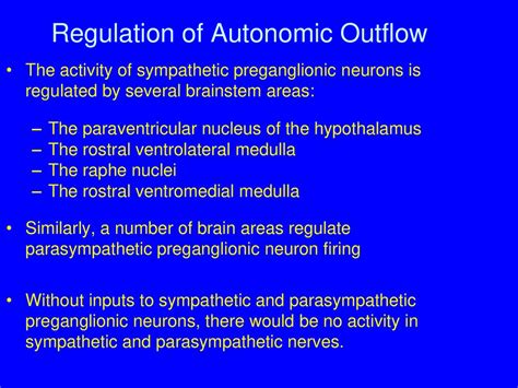 Effects Of The Autonomic Nervous System On The Heart Ppt Download