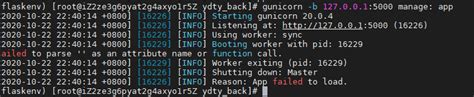 Gunicore报错：failed To Parse As An Attribute Name Or Function Call