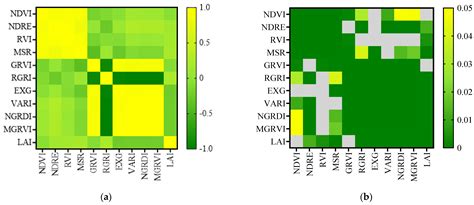Remote Sensing Free Full Text Enhanced Leaf Area Index Estimation In Rice By Integrating Uav