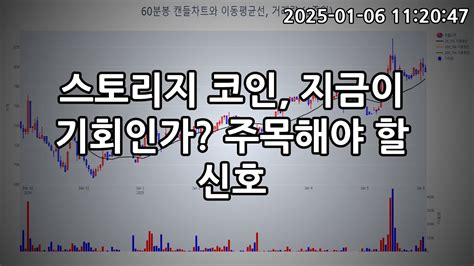 스토리지 코인 지금이 기회인가 주목해야 할 신호 Youtube