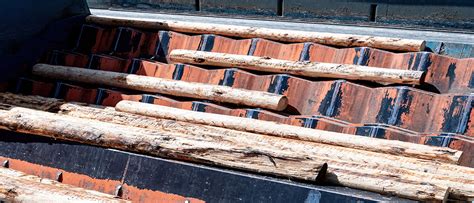 Wave Feeder Innovative Log Singulator Comact