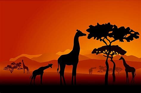 케냐 배경 일러스트 케냐 사진 및 배경 화면 무료 다운로드 Pngtree