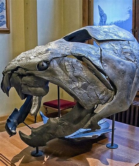 Dunkleosteus Is An Extinct Genus Of Arthrodire Placoderm Fish That