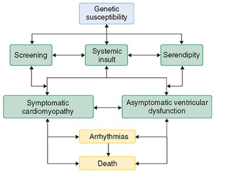 Patient Management Assignment On Nursing Care For Cardiomyopathy Patients Total Assignment Help