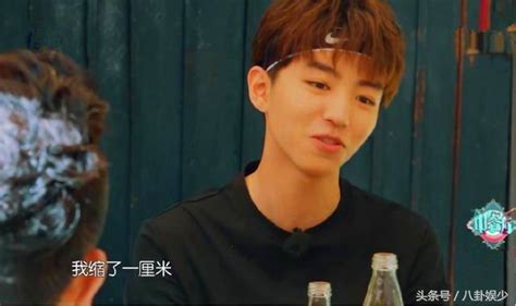《中餐廳2》王俊凱白舉綱爭論身高，趙薇一句話戳蘇有朋痛處 每日頭條