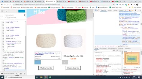 Problema Con Css Soporte Divi En Español Wpfácil Foro Webempresa