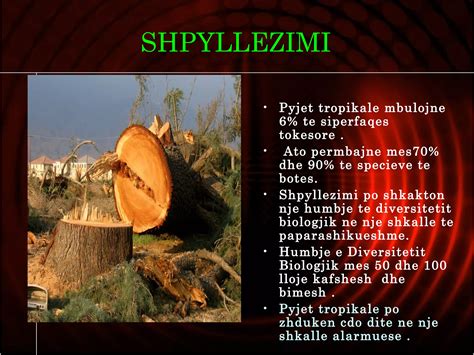 Ndotja E Mjedisit Ppt