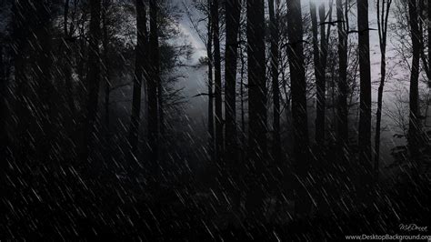 8k Dark Forest Wallpapers Top Những Hình Ảnh Đẹp