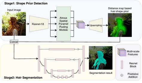 Shape Prior Integrated Hair Segmentation Pipeline Download Scientific Diagram