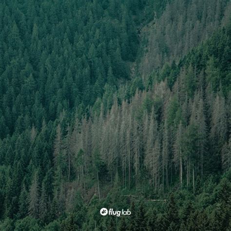 Stream Greenage Savaya [flug Lab] By Flug Lab Listen Online For Free On Soundcloud