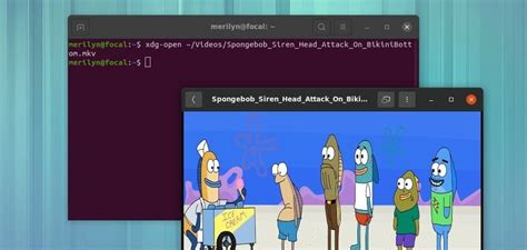 Quick Tip Universal Linux Command To Open Media Document Other Files Urls Fostips
