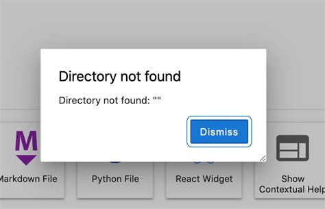 directory not found modal during slow logout · issue 12761