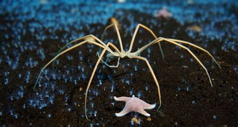 Pin On Natural Sciences Research Resources