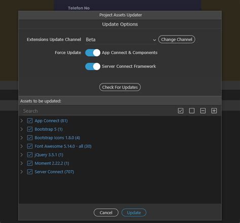 Project Updater Issue Bugs Wappler Community