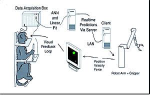 Brain Machine Interface Wikipedia