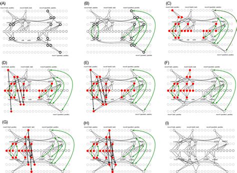 Graphical Depiction Of Relational Generalization In Dora A B A
