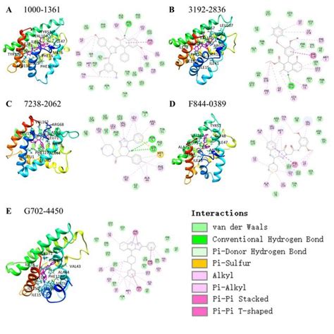 The Tipe3 Interaction Details With Candidate Compounds For The Last