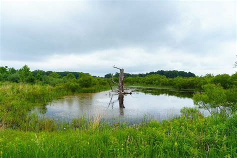 Usda Streamlines Conservation Easement Program