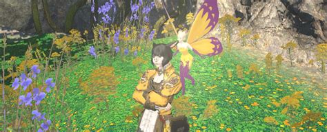 Manaic Pixie Meme Girl Eorzea Collection