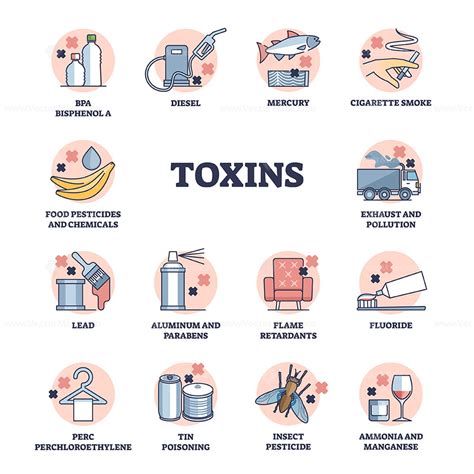 Toxins And Dangerous Chemical Substances For Human Health Outline
