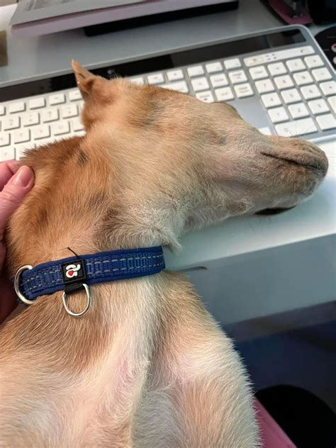 Jodi Ryals On Linkedin Magidstrong