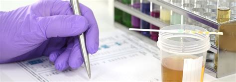 Thc Drug Tests Understanding Australia Drug Testing