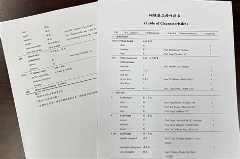 品種植金04》品種權如何成為農產貿易護盾、基石？臺灣、歐盟互認品種檢定成範例 農傳媒