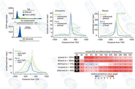 Figure的制作软件 技术专题 停用 广州赛诚生物科技有限公司 服务于您的核心利益！