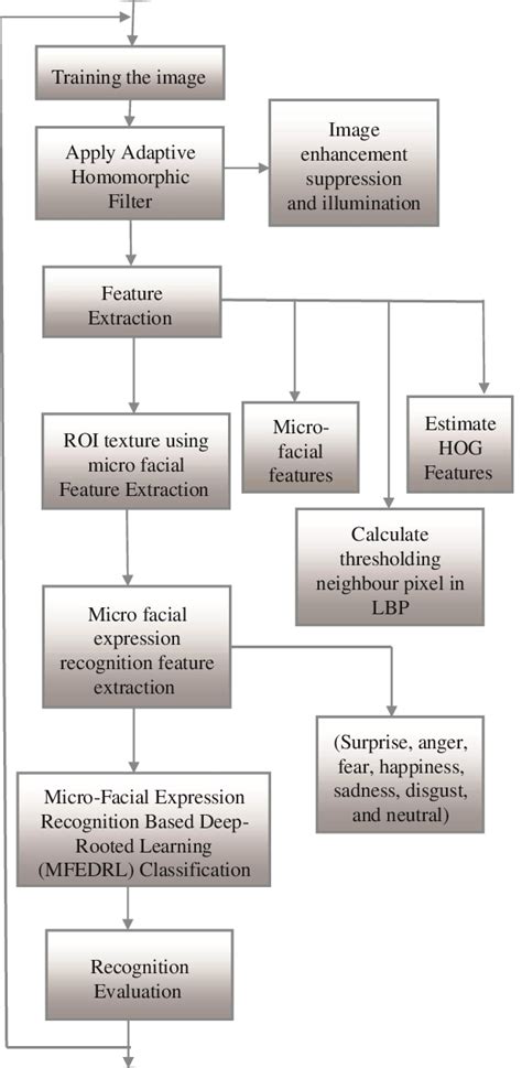 Flow Chart For Micro Facial Expression Recognition Based Deep Rooted Download Scientific