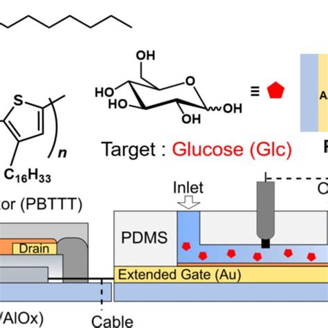 A Schematic Top View Of The Microfluidic System Combined With The Download Scientific Diagram