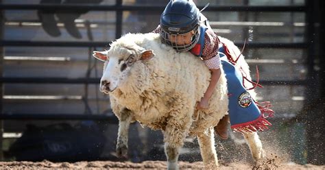 Mul Chu Tha Fair And Rodeo Featured