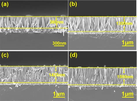 Color Online Cross Sectional Observations Of Zno Nanorods As A Download Scientific Diagram