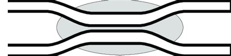 Schematic Illustration Of Nonlinear Directional Coupler The All Four