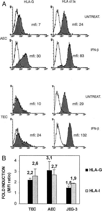 Ifn Enhances Hla G And Classical Hla Class I Surface Expression A
