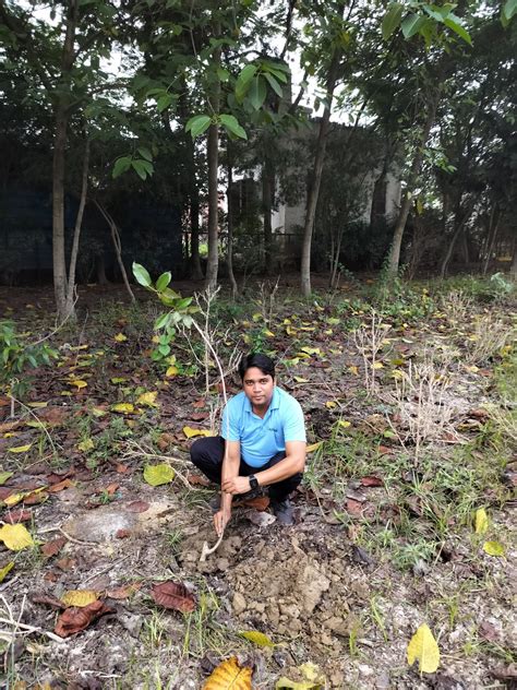 mohammad parvej on linkedin save nature plant trees