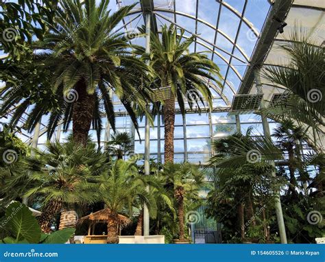 Palmhouse Palm House Or Palmenhaus Flower Island Mainau On The Lake
