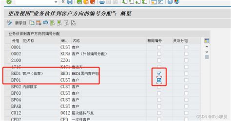 sap s4hana bp 业务伙伴（客户与供应商）管理后台配置 sap 客户ppo配置 csdn博客