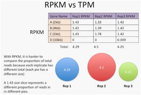 Rpkm、fpkm 和 Tpm Cpm Csdn博客